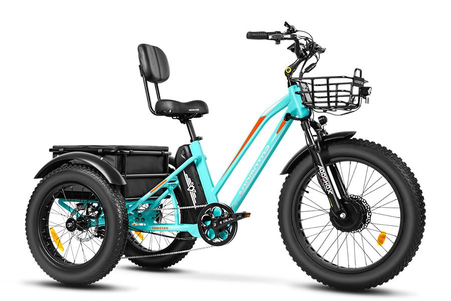 Introducing Triketan M-350 Electric Tricycle