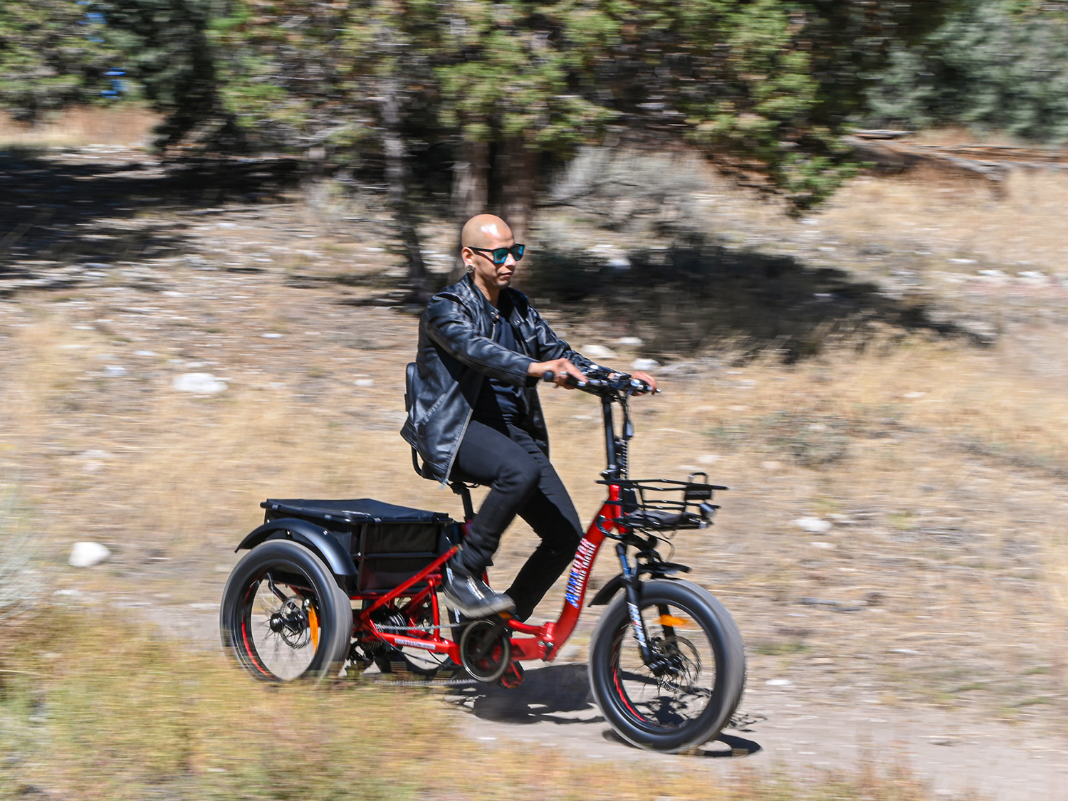 The Benefits of Owning a Foldable Electric Trike